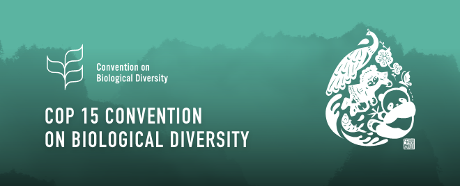 Connected Conservation Foundation is named as one of “100+ Biodiversity Positive Practices and ...