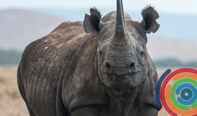 Connected Conservation Foundation 2023-24 Annual review