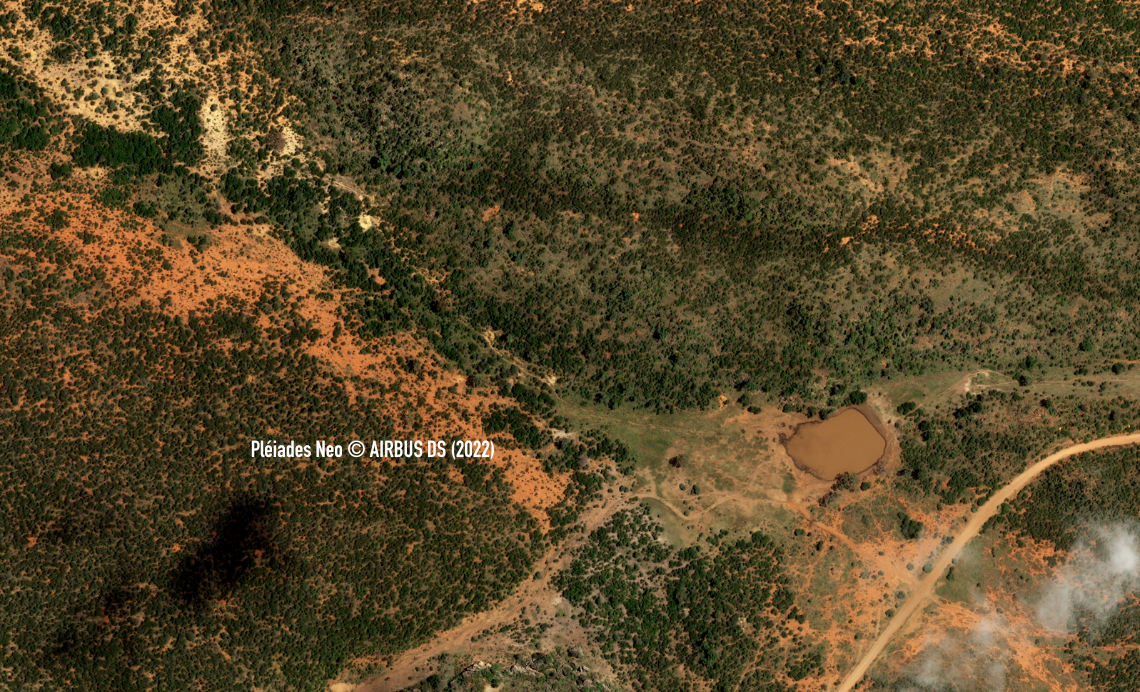 Unlocking The Power Of Satellite Imagery For Nature Conservation