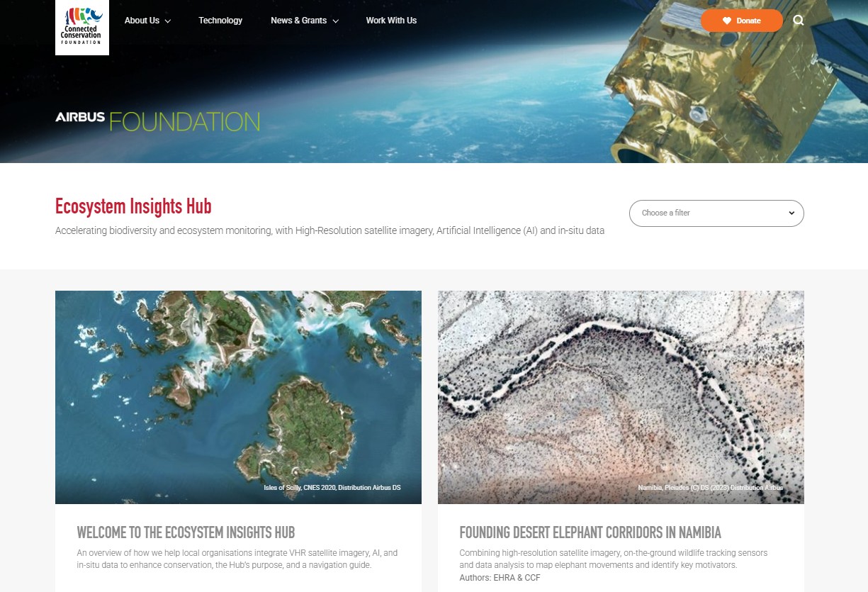 Ecosystem Insights Hub